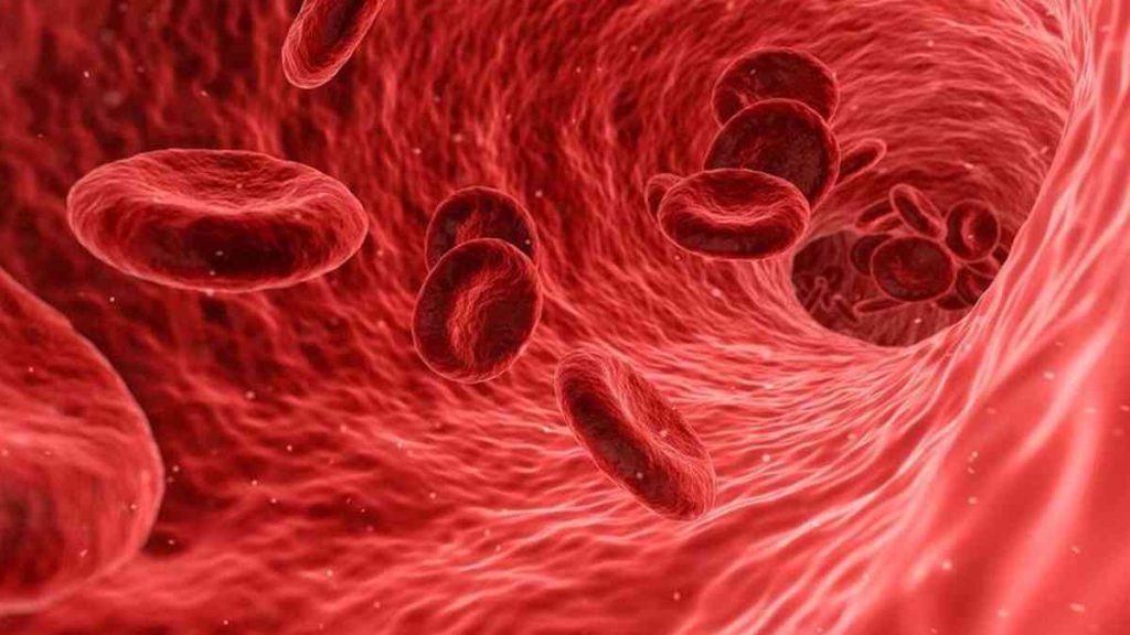 Talasemi Nedir? Türleri, Belirtileri ve Genetik Yatkınlık